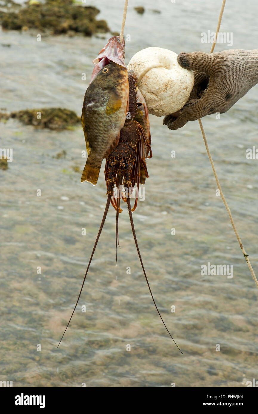 Puddles On Beach High Resolution Stock Photography and Images - Alamy