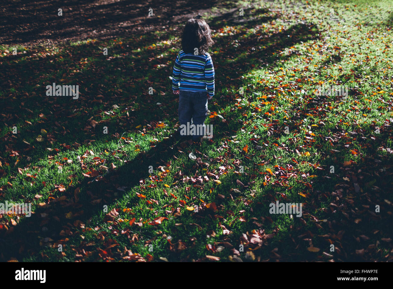 Toddler standing alone hi-res stock photography and images - Alamy