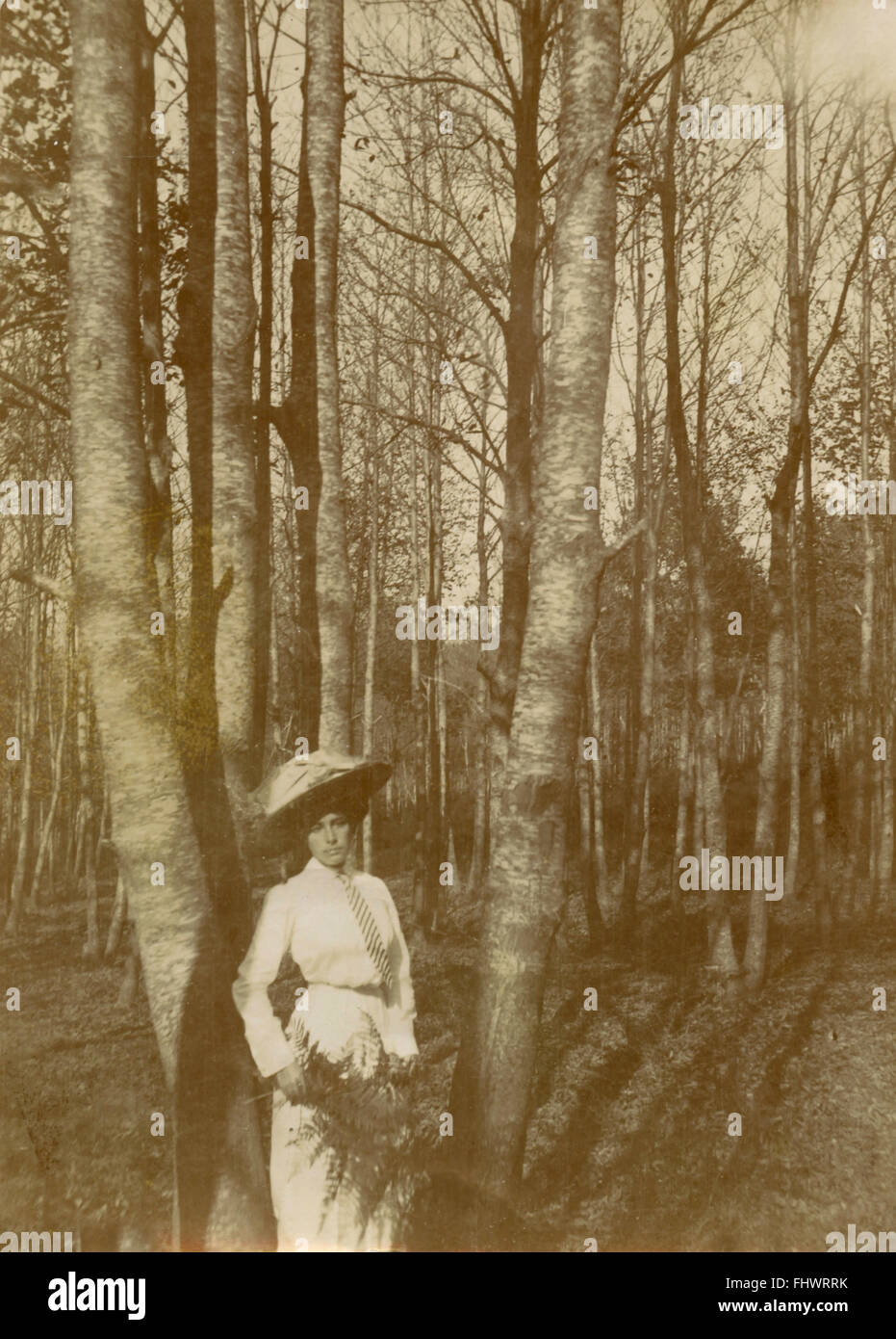 An elegant woman in a forest Stock Photo - Alamy