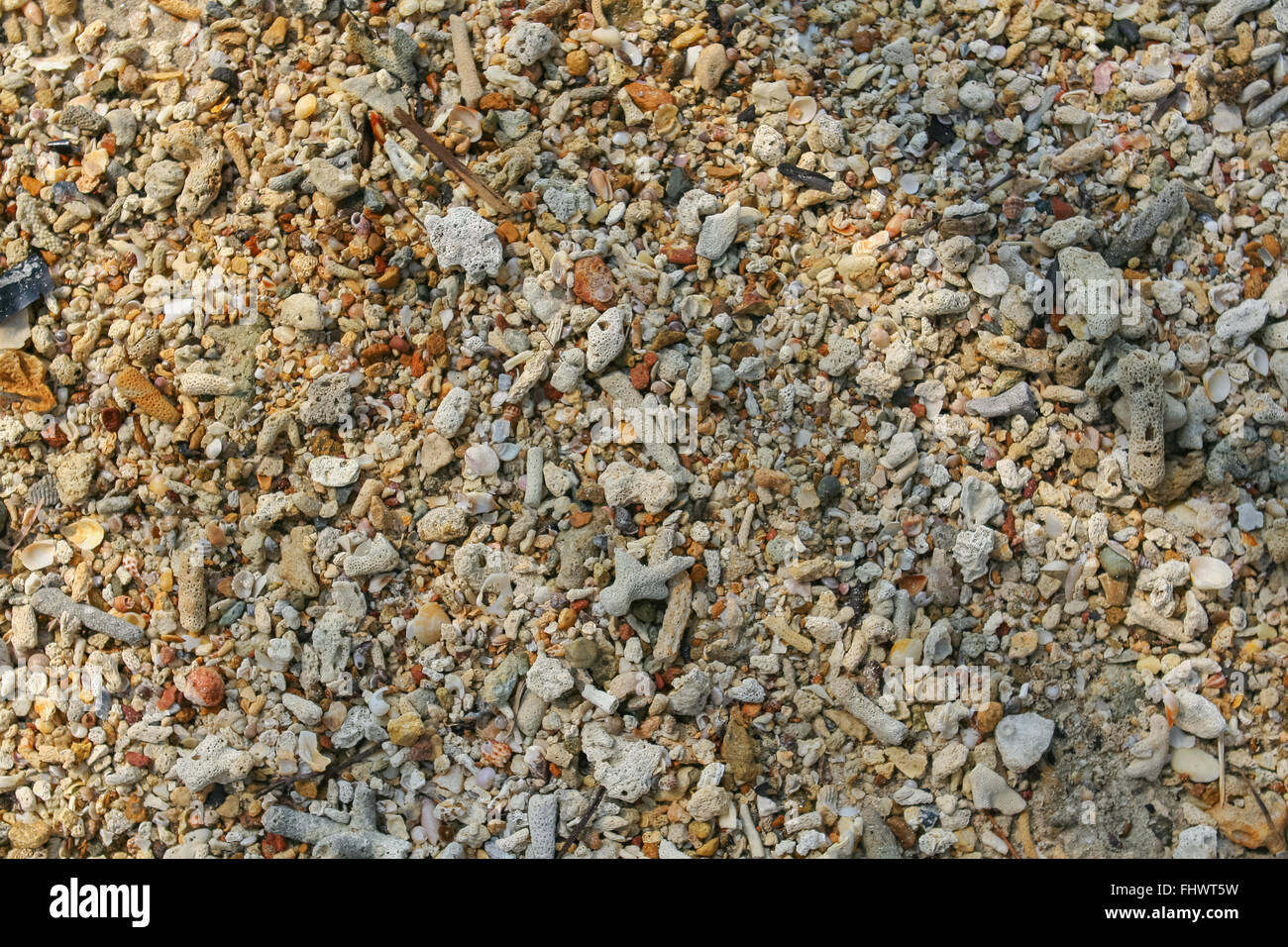 Sea sand texture made of shell and stone pieces. Seamless texture Stock ...