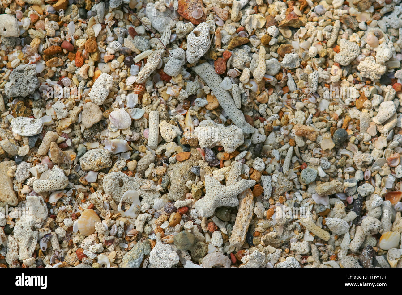 Sea sand texture made of shell and stone pieces. Seamless texture Stock ...
