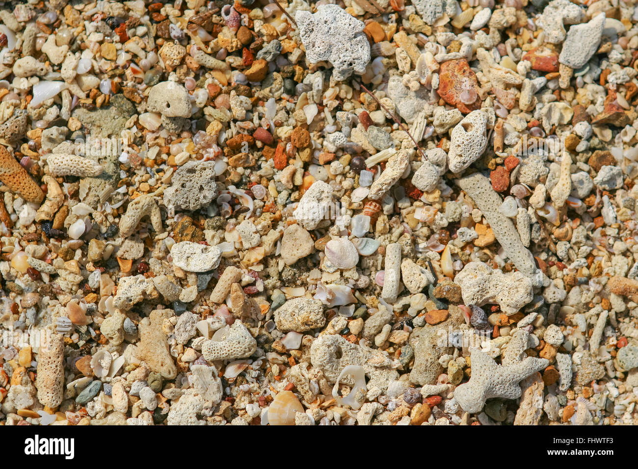 Sea sand texture made of shell and stone pieces. Seamless texture Stock ...
