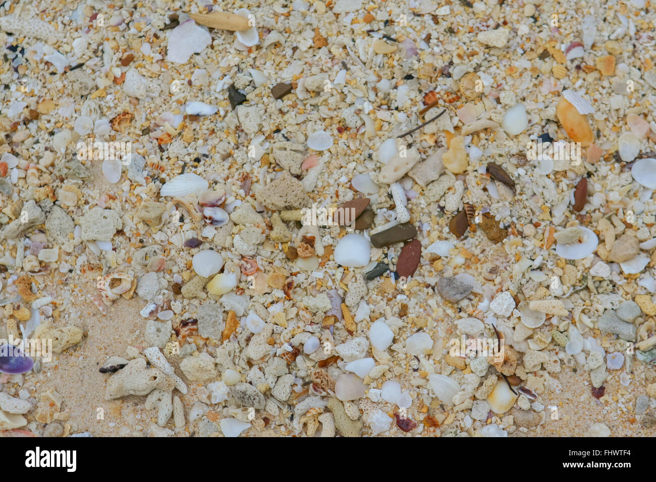 Sea sand texture made of shell and stone pieces. Seamless texture Stock ...