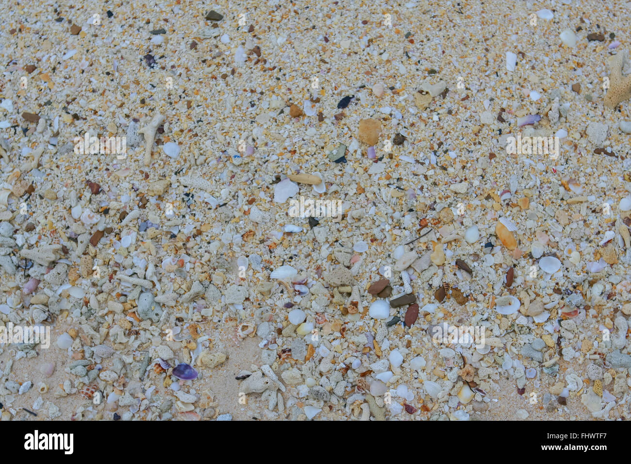 Sea sand texture made of shell and stone pieces. Seamless texture Stock ...