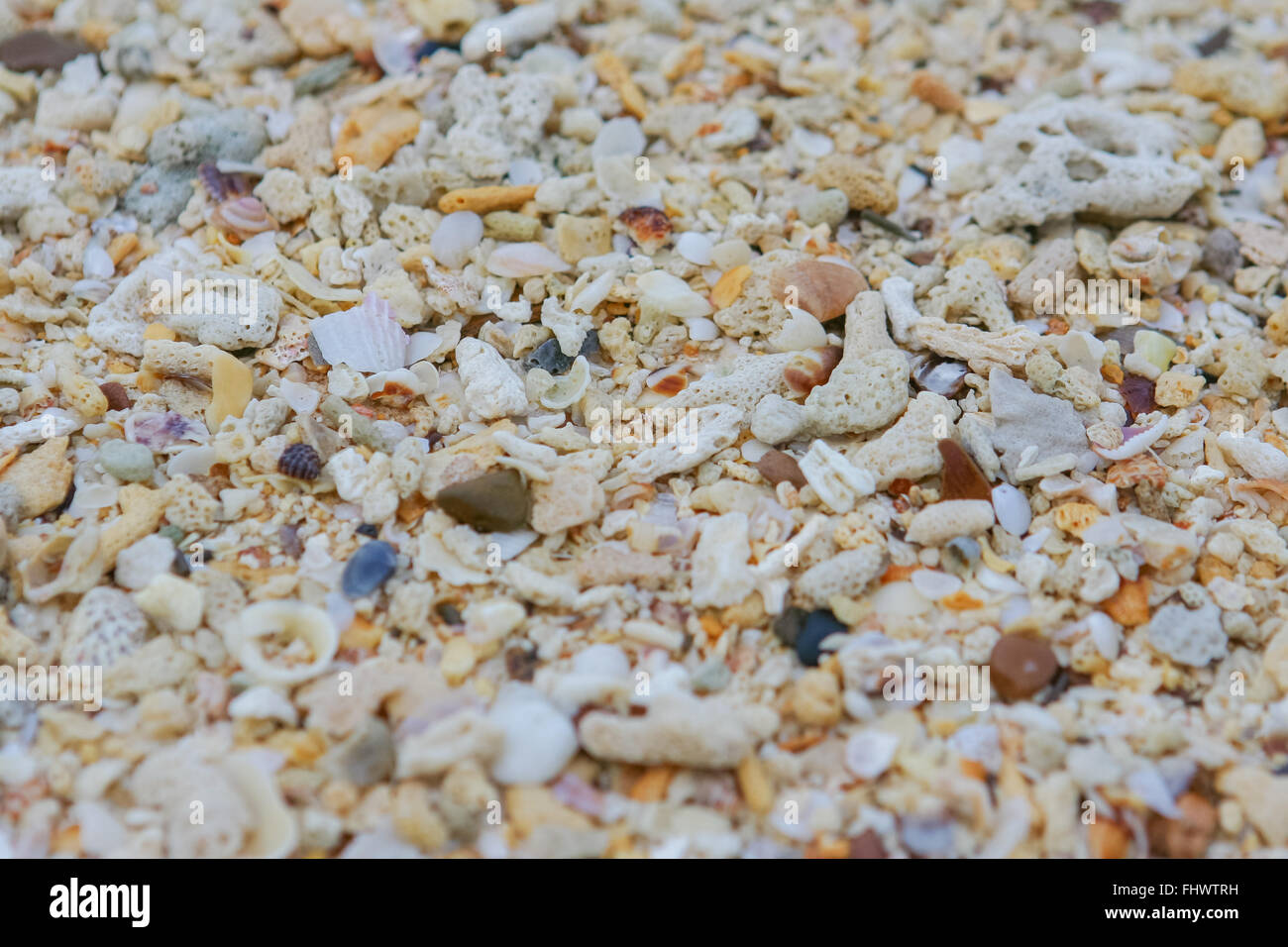 Sea sand texture made of shell and stone pieces. Seamless texture Stock ...