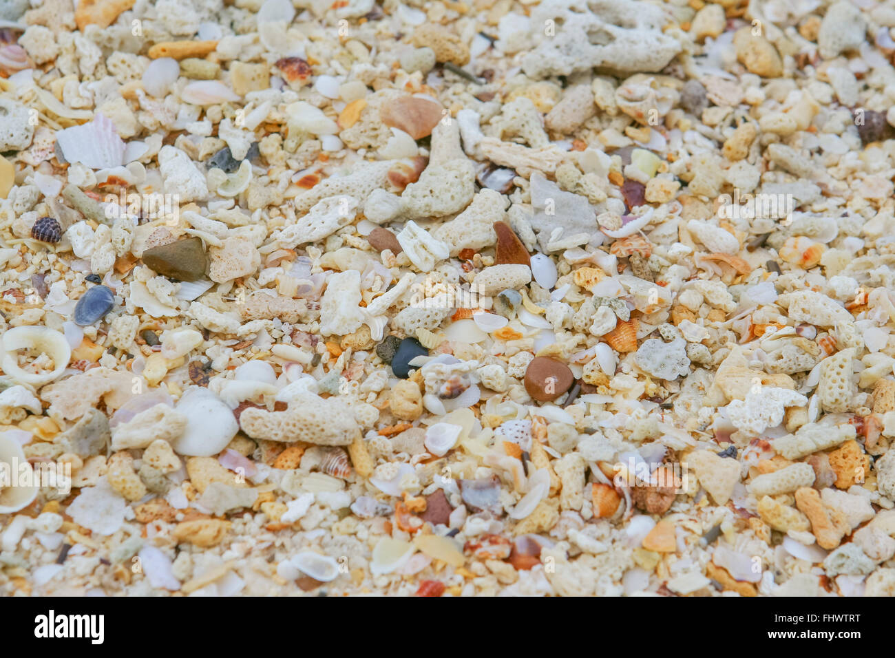 Sea sand texture made of shell and stone pieces. Seamless texture Stock ...