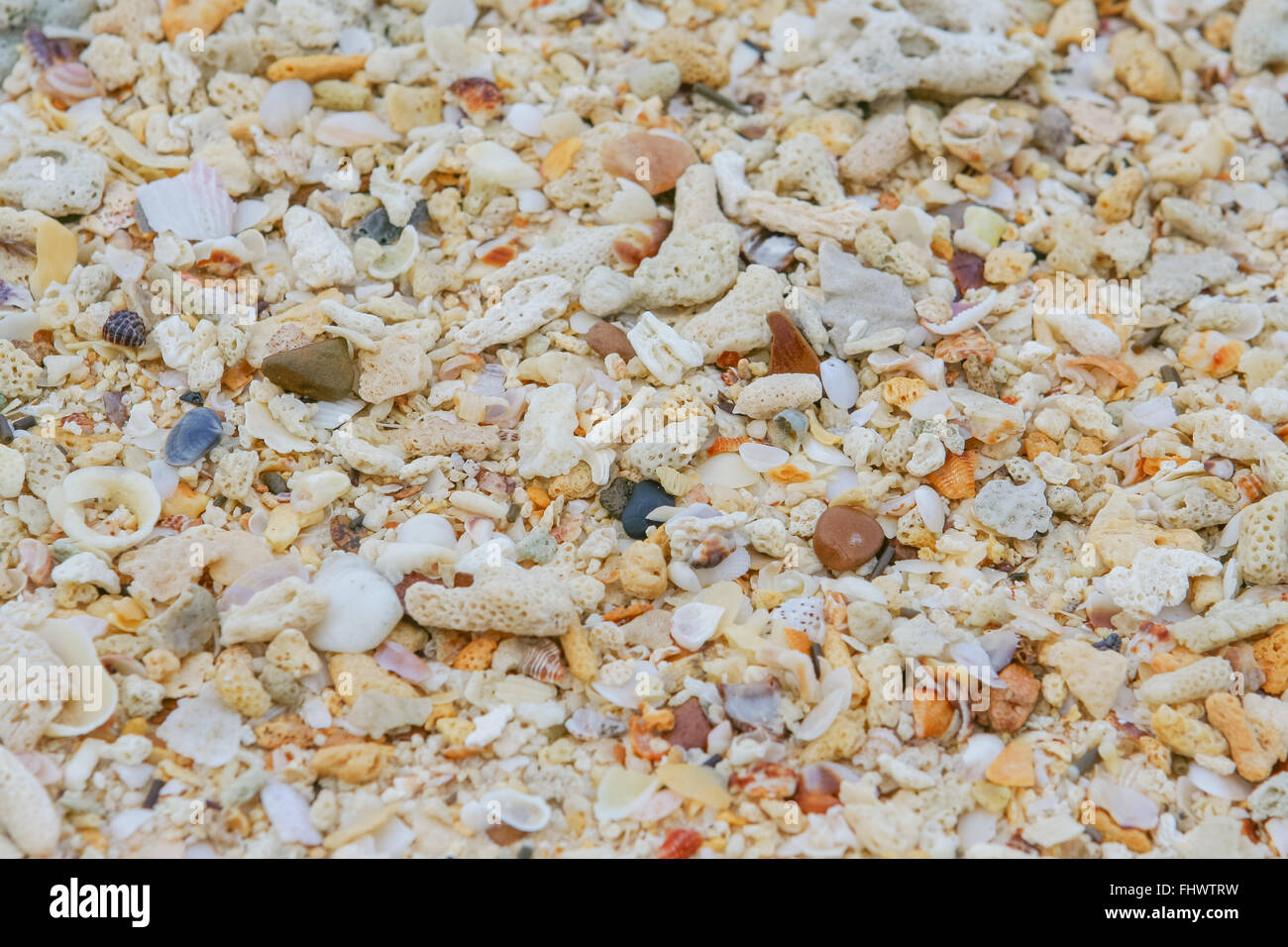 Sea sand texture made of shell and stone pieces. Seamless texture Stock ...