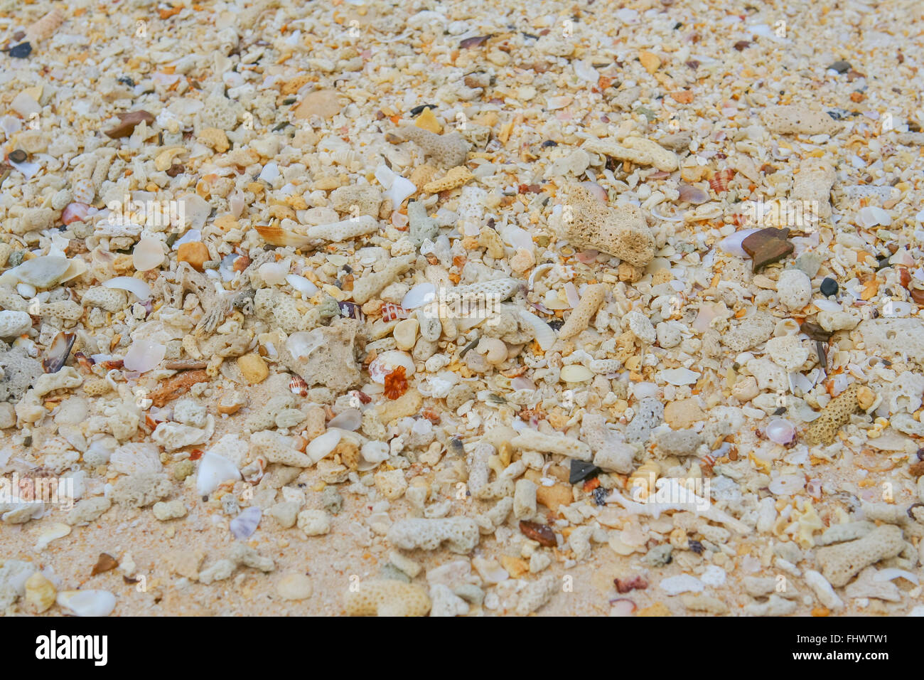 Sea sand texture made of shell and stone pieces. Seamless texture Stock ...