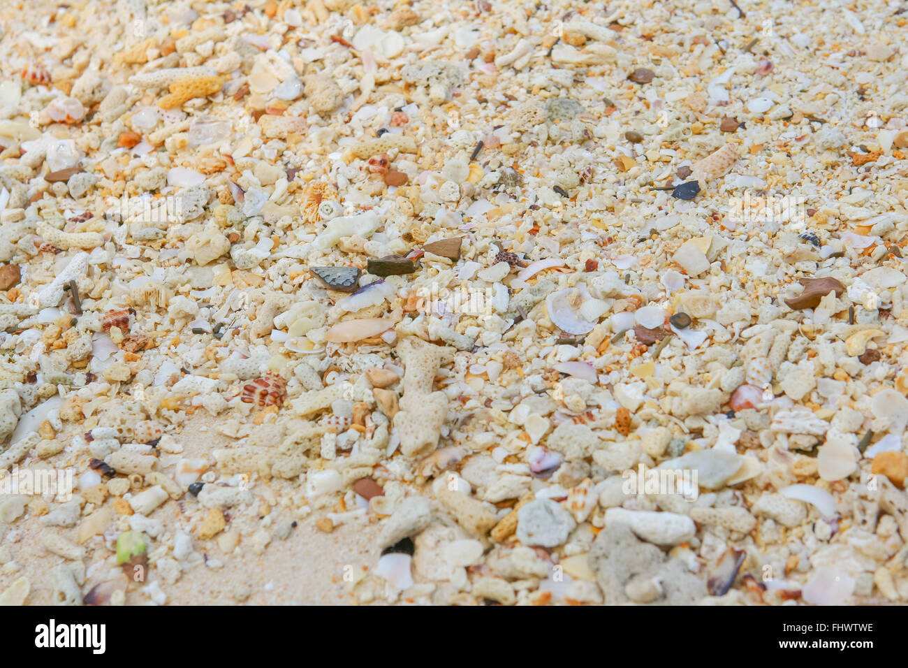 Sea sand texture made of shell and stone pieces. Seamless texture Stock ...