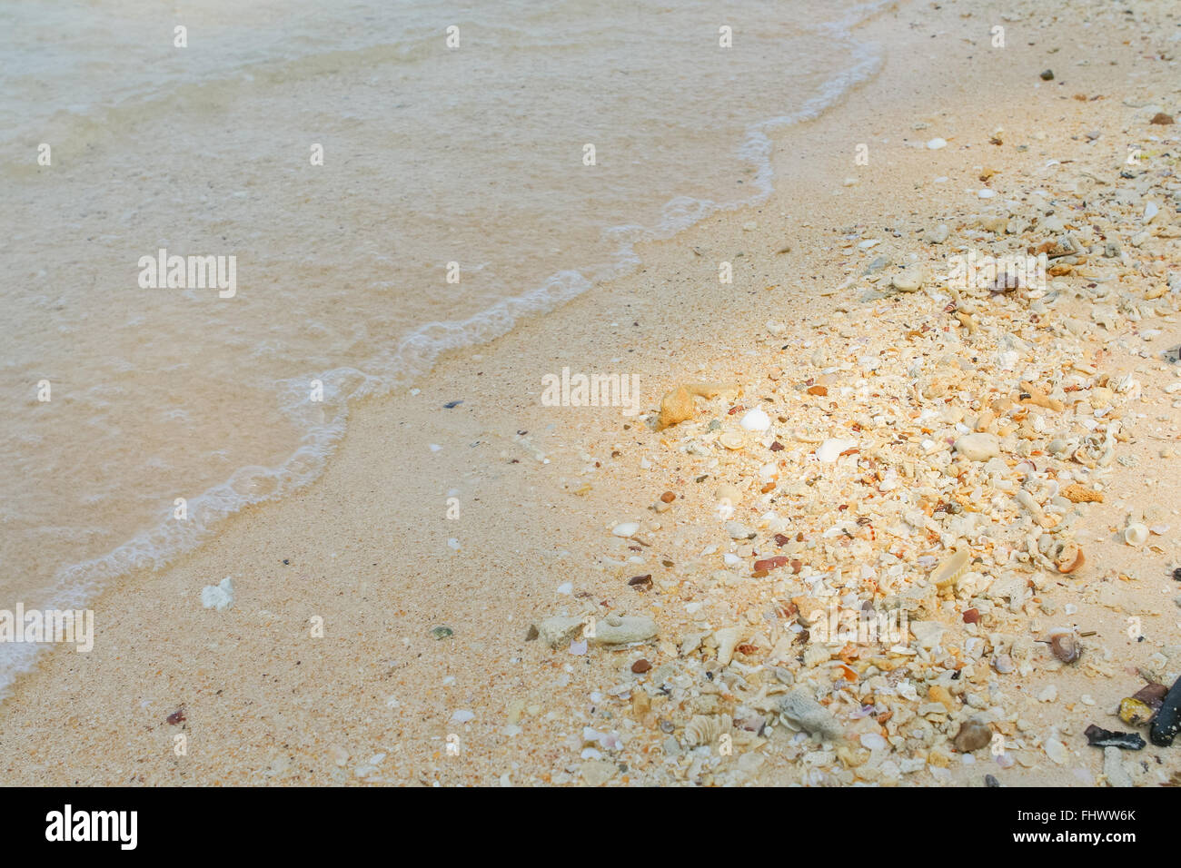 Sea sand texture made of shell and stone pieces. Seamless texture Stock ...
