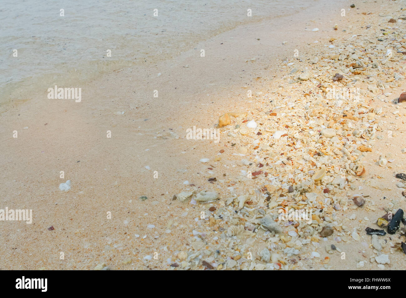 Sea sand texture made of shell and stone pieces. Seamless texture Stock ...