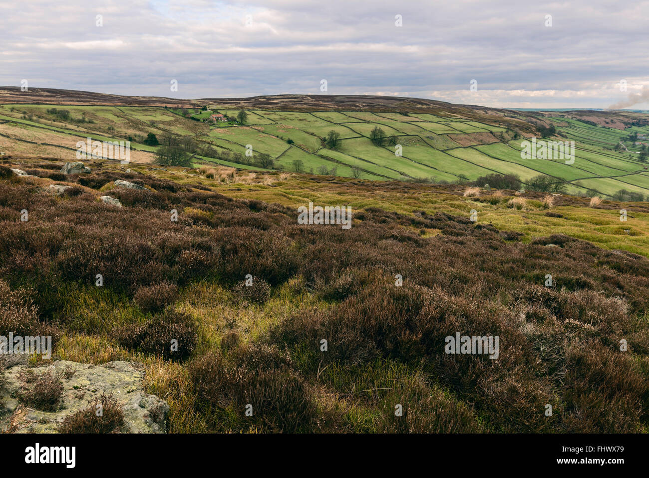 The North York Moors National Park on a bright spring morning showing ...