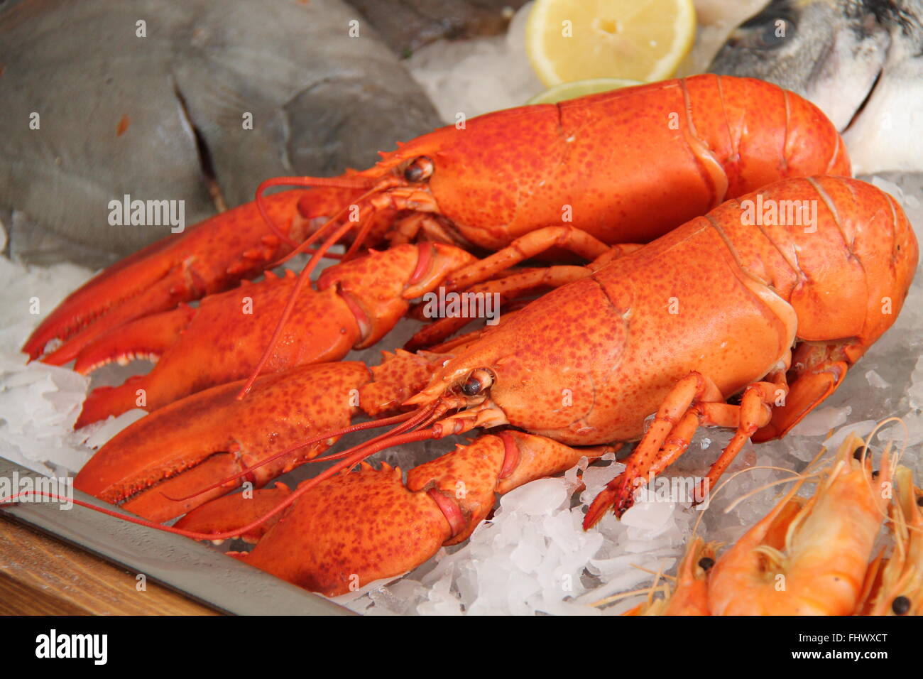 Seafood shop display of lobsters hi-res stock photography and images ...