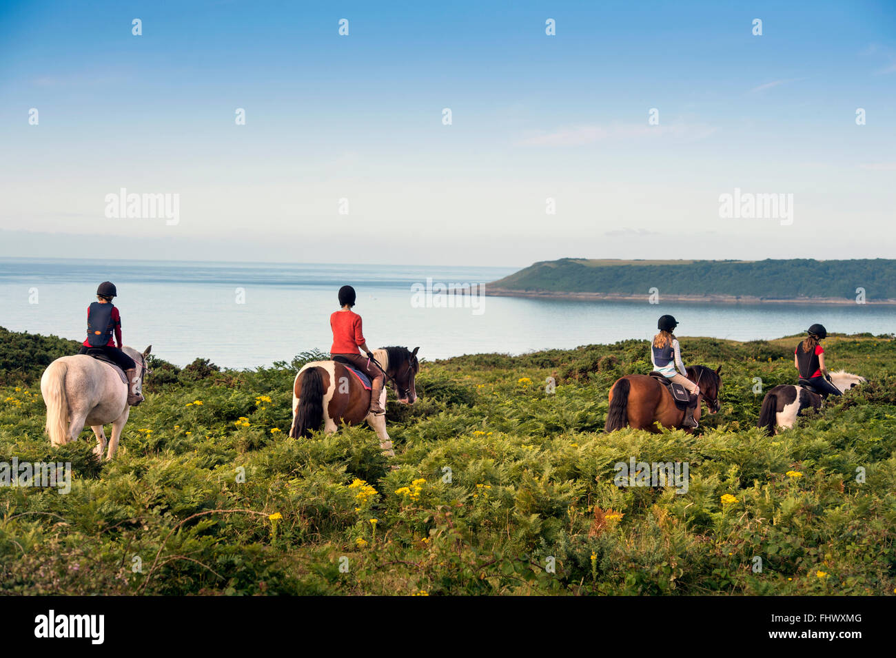 Welsh horse and pony trekking hi-res stock photography and images - Alamy