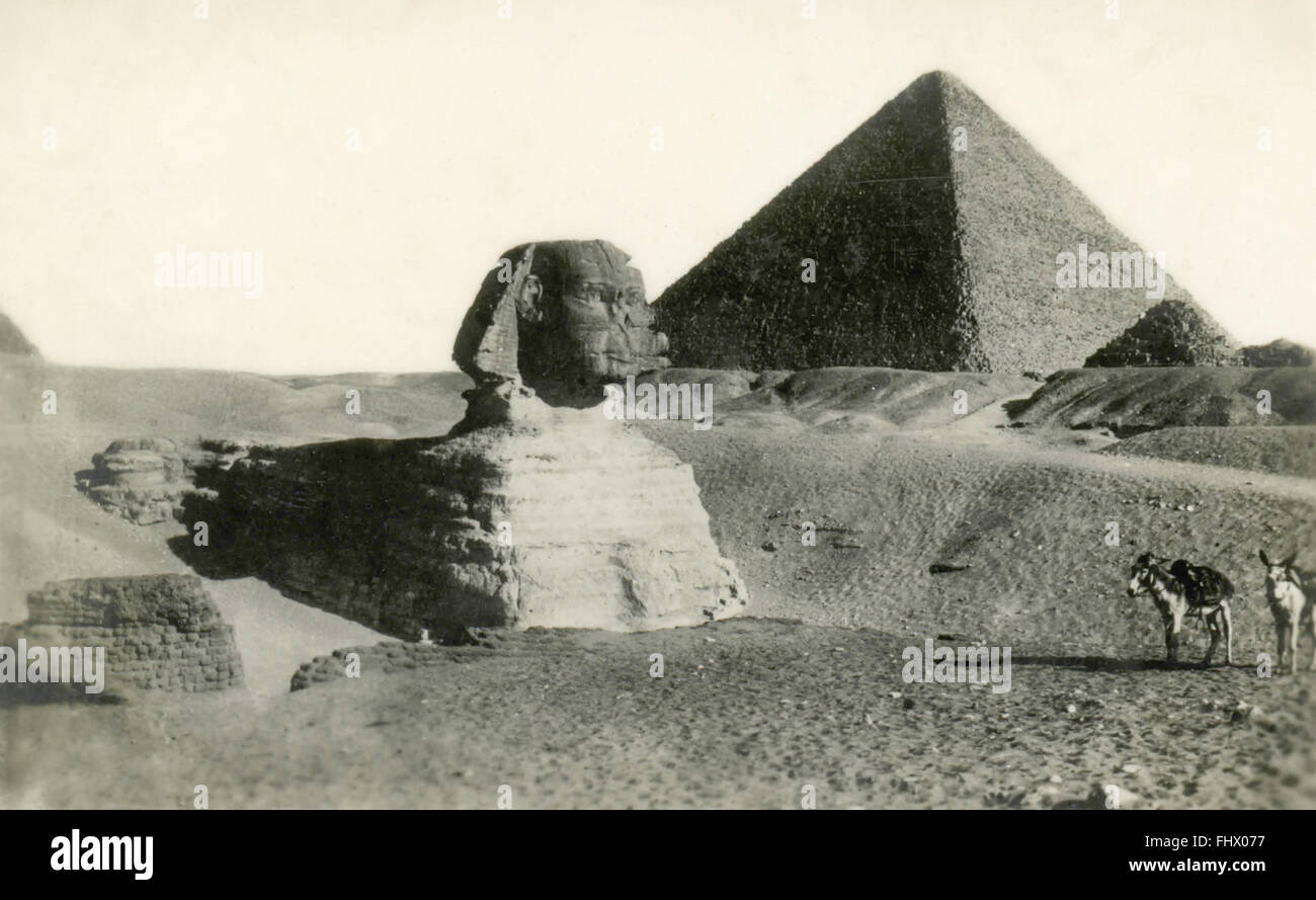 The Sphinx and the Great Pyramid in the background, Egypt Stock Photo ...