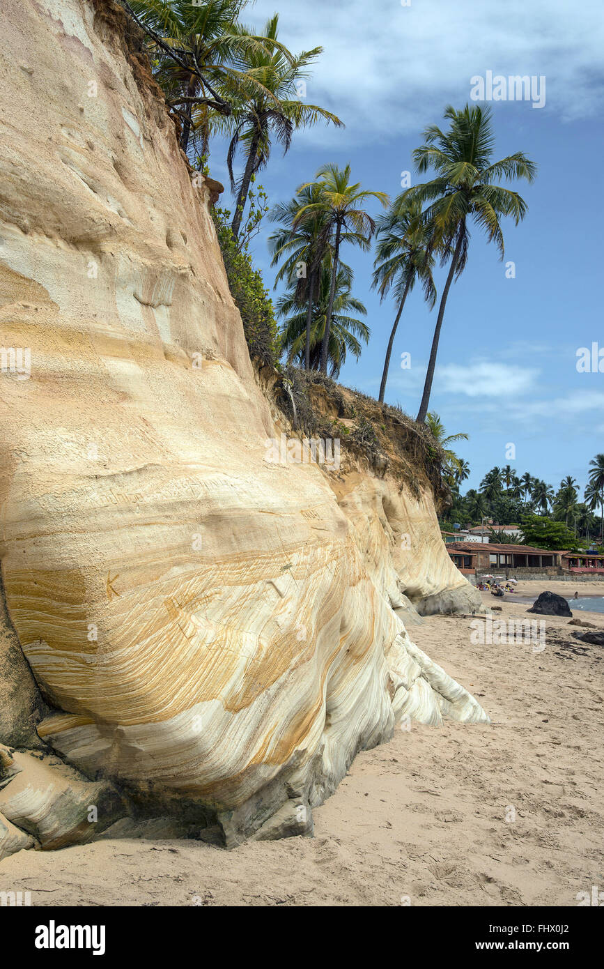 Cliffs on the beach Barreiras do Boqueirão - Coast north coast of the ...