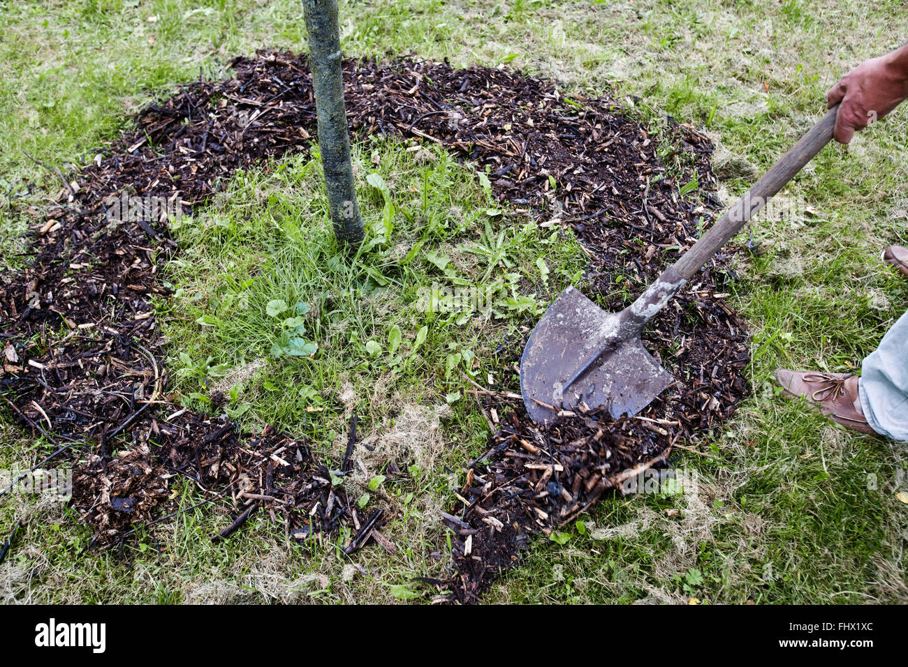Foot leg base stand plant vine hi-res stock photography and images - Alamy