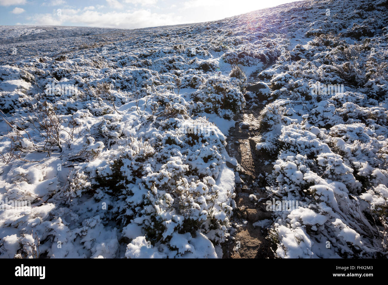 An icy path through an expanse of snowy moorland in Northern England ...