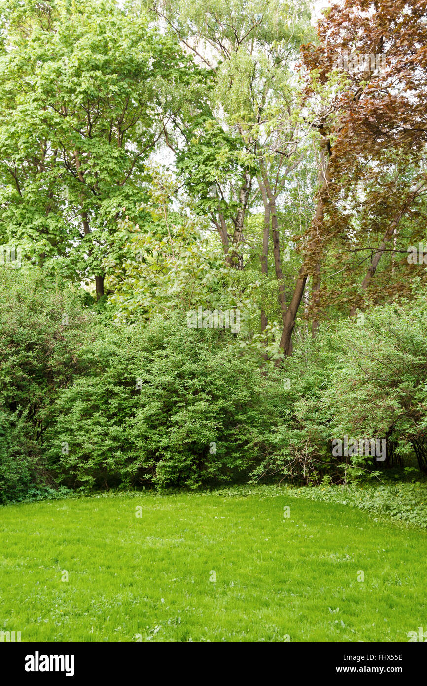 Lawn trees and shrubs hi-res stock photography and images - Alamy