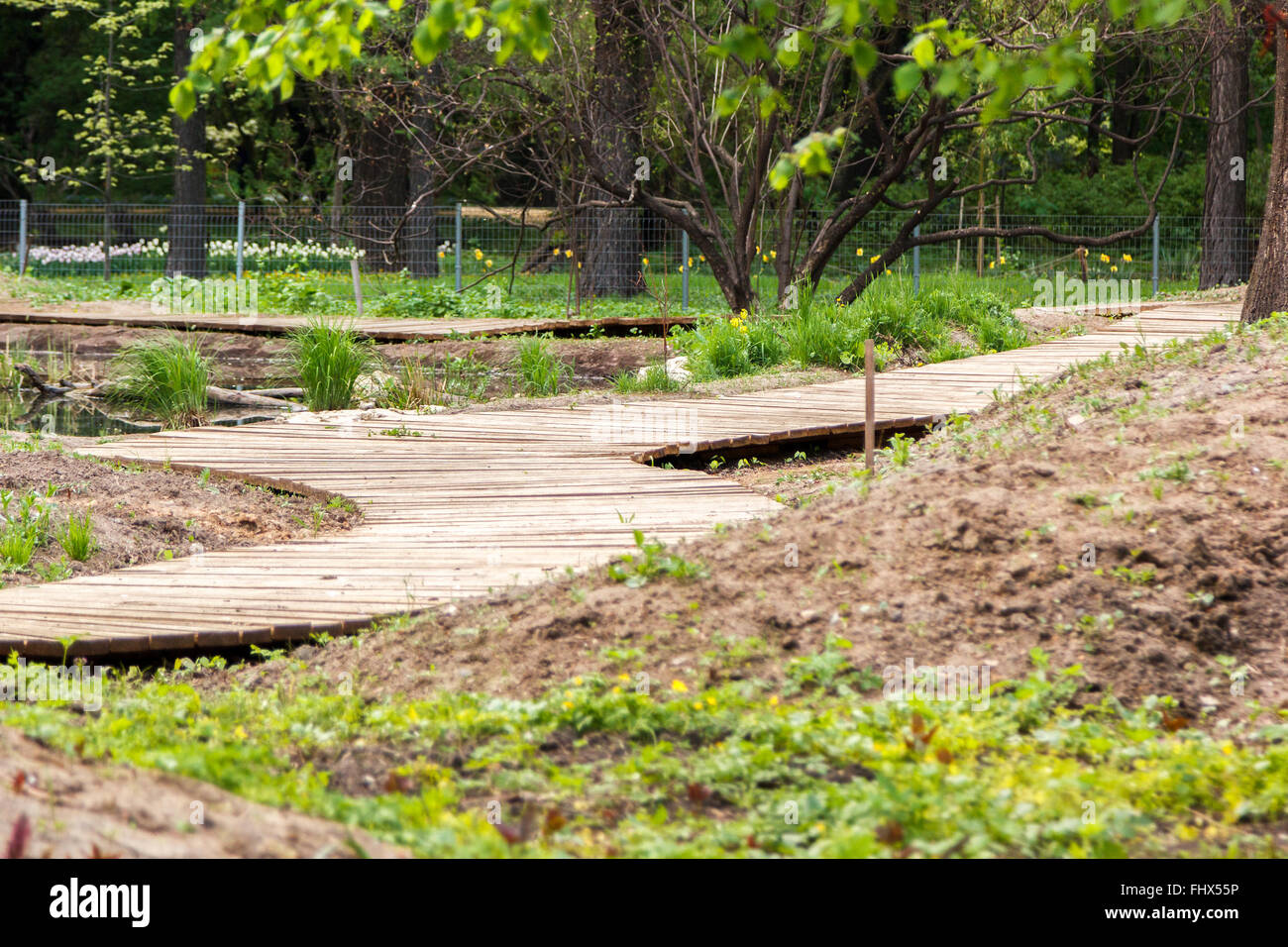 path of wooden planks in the park Stock Photo - Alamy