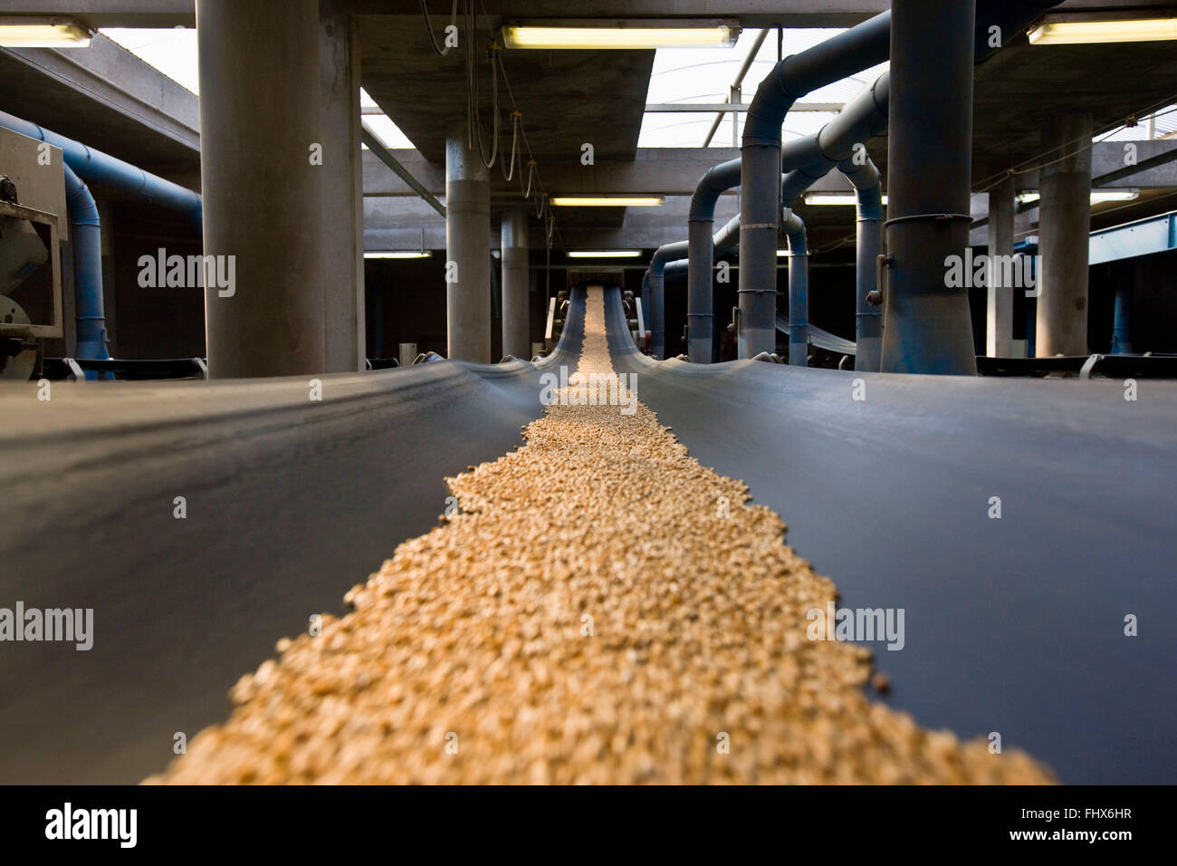 Moving grain silo hi-res stock photography and images - Alamy