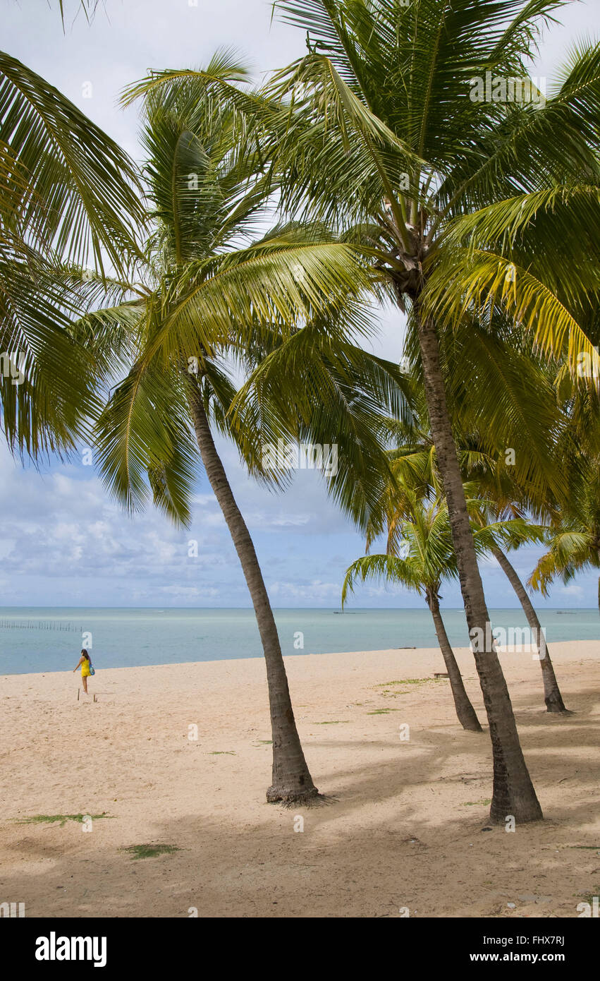 Ponta verde hi-res stock photography and images - Alamy