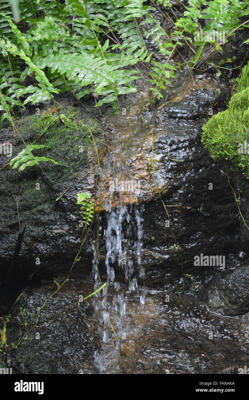 Small waterfall flowing over rocks Stock Photo - Alamy