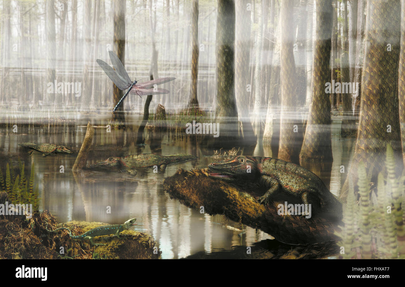 Prehistoric swamp forest landscape with Hylonomus, Eryops and arthropod ...