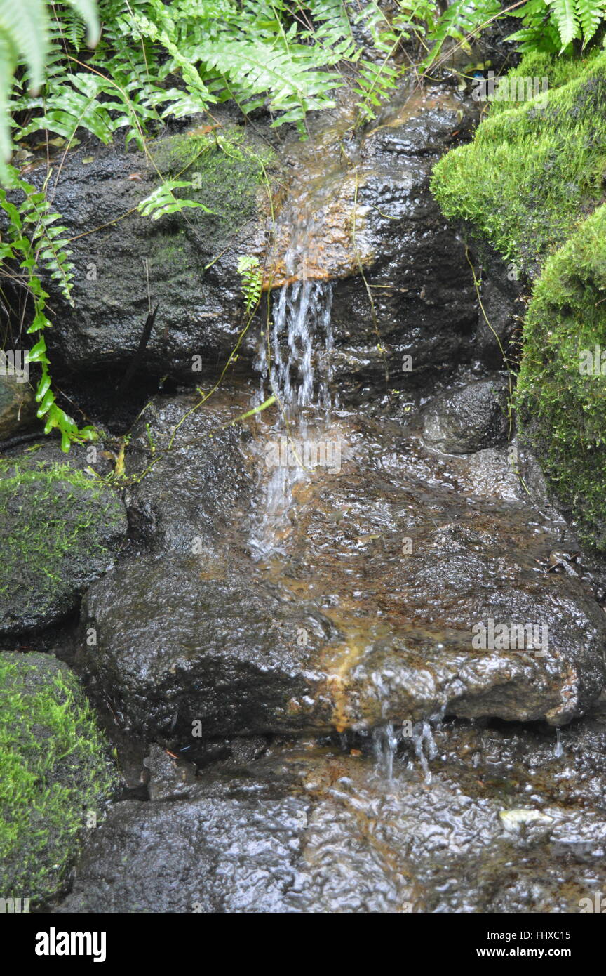 Small waterfall flowing over rocks Stock Photo - Alamy