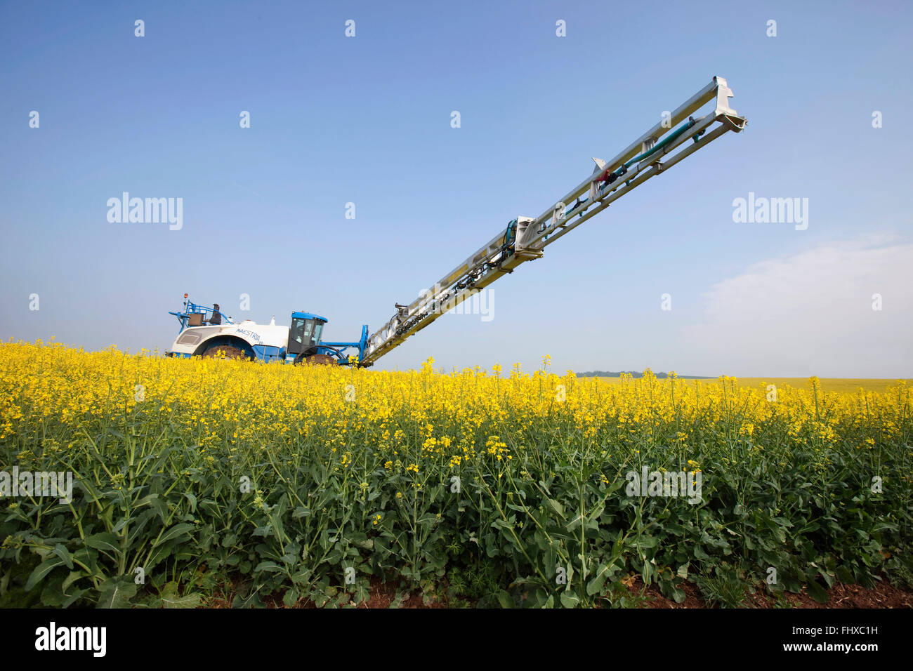 Fungicidal Treatment In A Field Of Colza Stock Photo Alamy fungicidal-treatment-in-a-field-of-colza-stock-photo-alamy