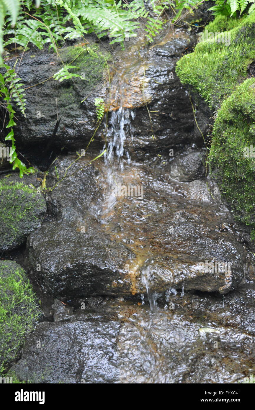 Trickle over rocks hi-res stock photography and images - Alamy