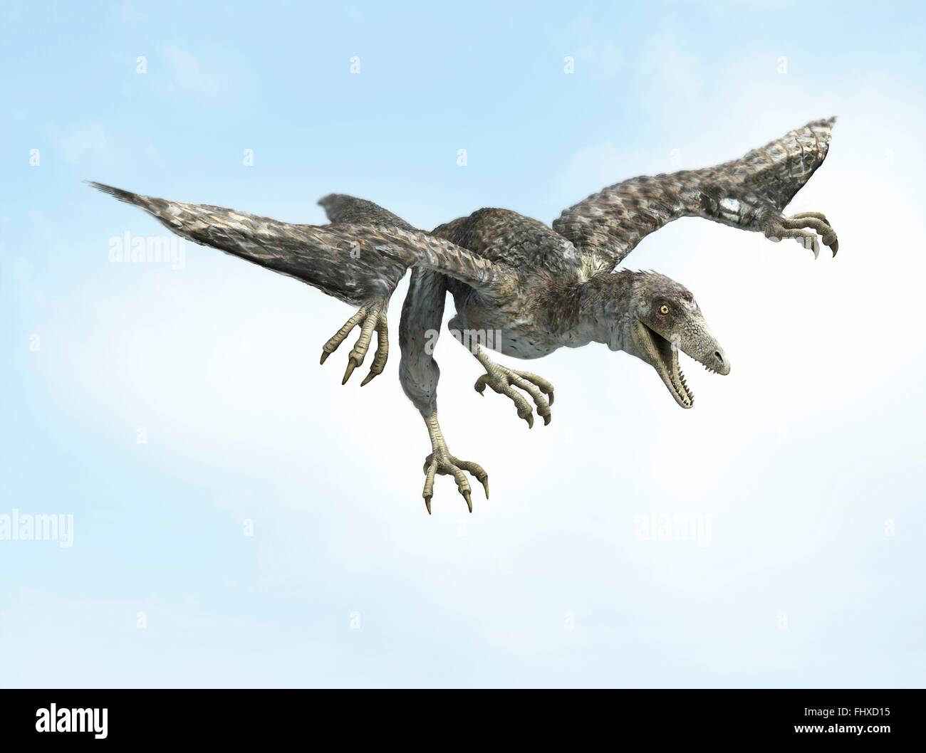 Ornithocheirus in flight Stock Photo - Alamy