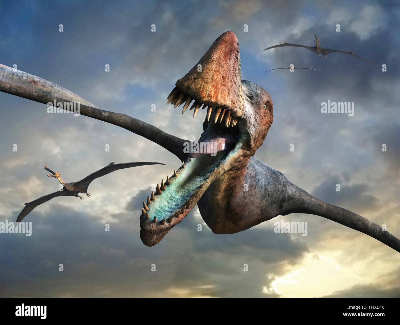 Ornithocheirus In Flight Stock Photo Alamy Ornithocheirus In Flight Stock Photo Alamy