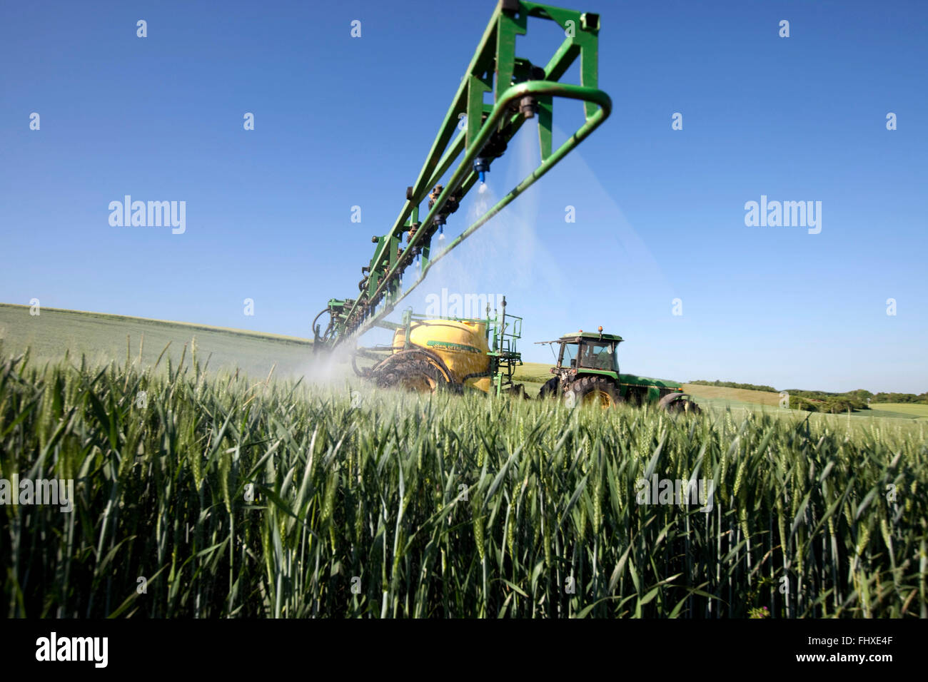Fungicidal treatment in a corn field Stock Photo - Alamy