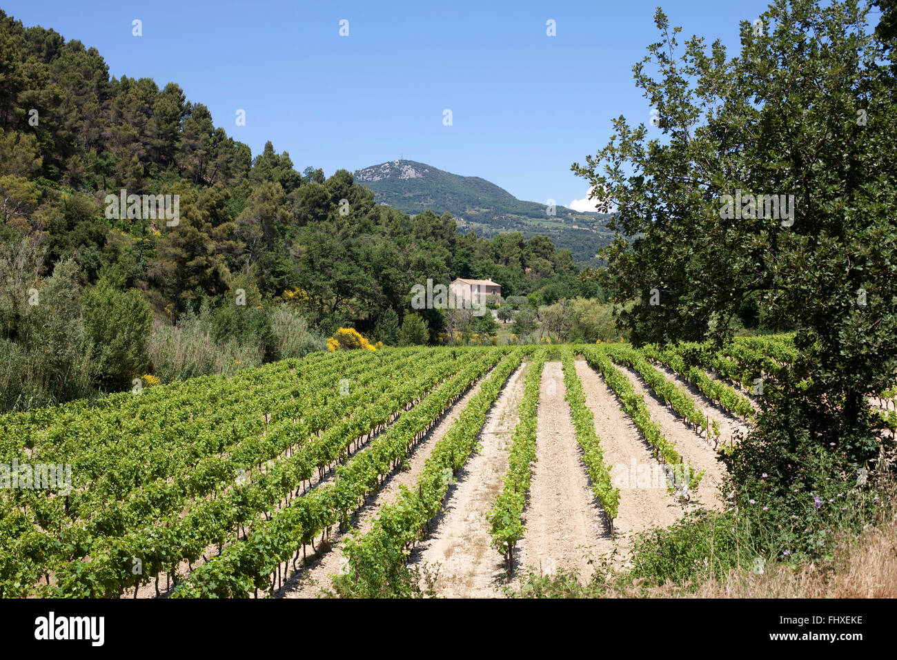 @aoc hi-res stock photography and images - Alamy