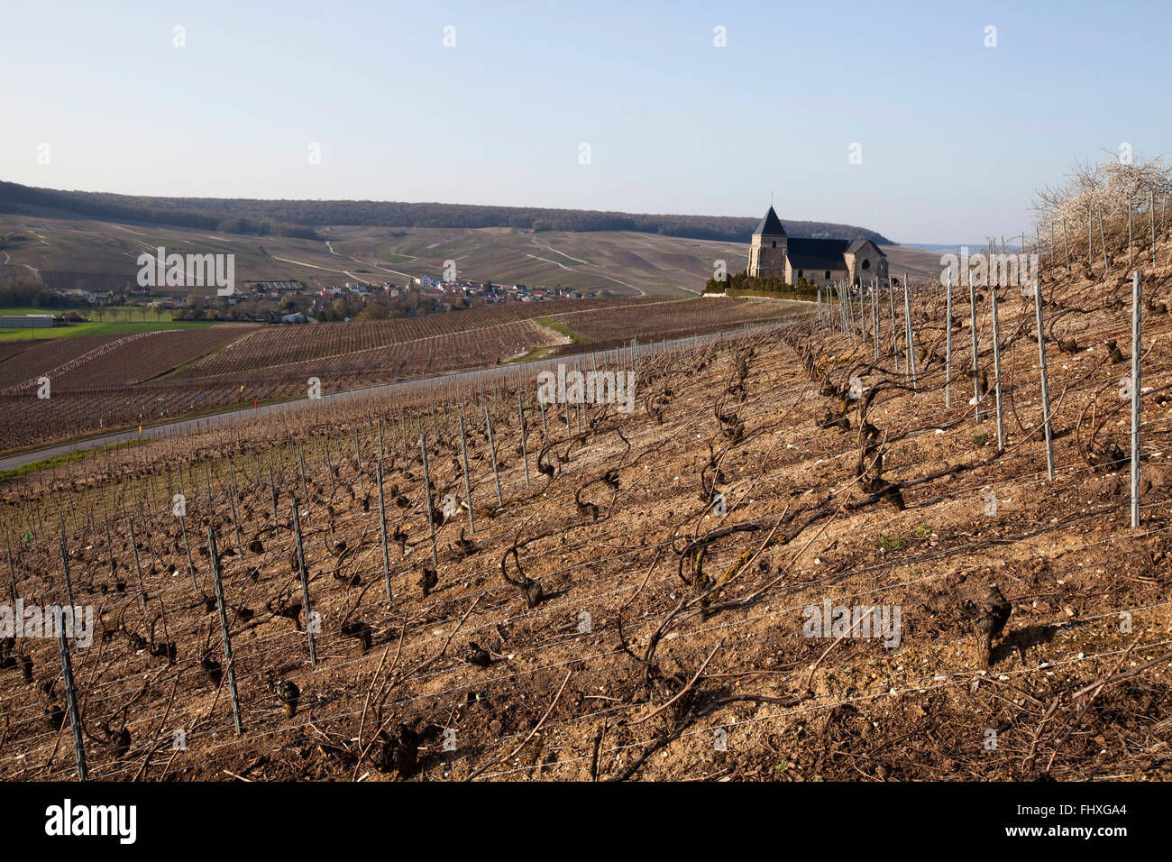 Champagne Vineyard Landscape High Resolution Stock Photography and ...