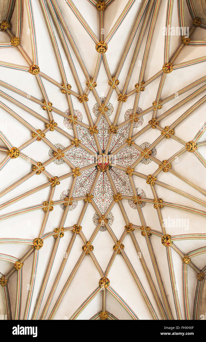Wells Cathedral Lady Chapel stellar vault ceiling. Somerset, England ...