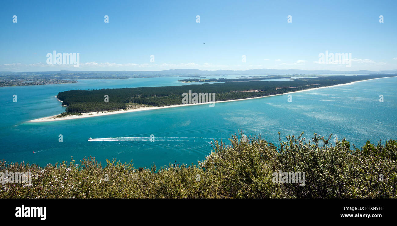 Matakana island hi-res stock photography and images - Alamy