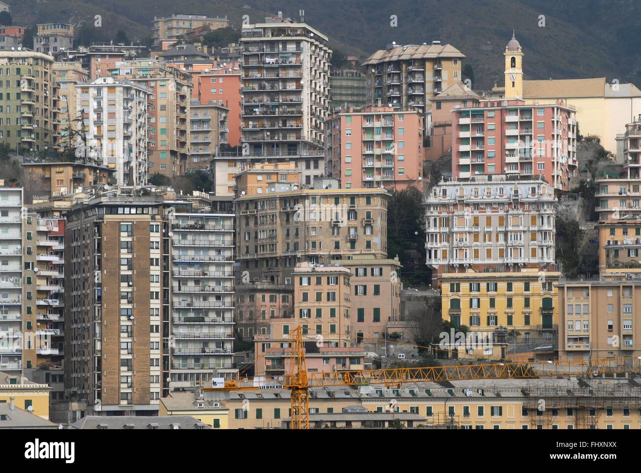 Italy, houses of Genoa town seen from the harbor Stock Photo - Alamy