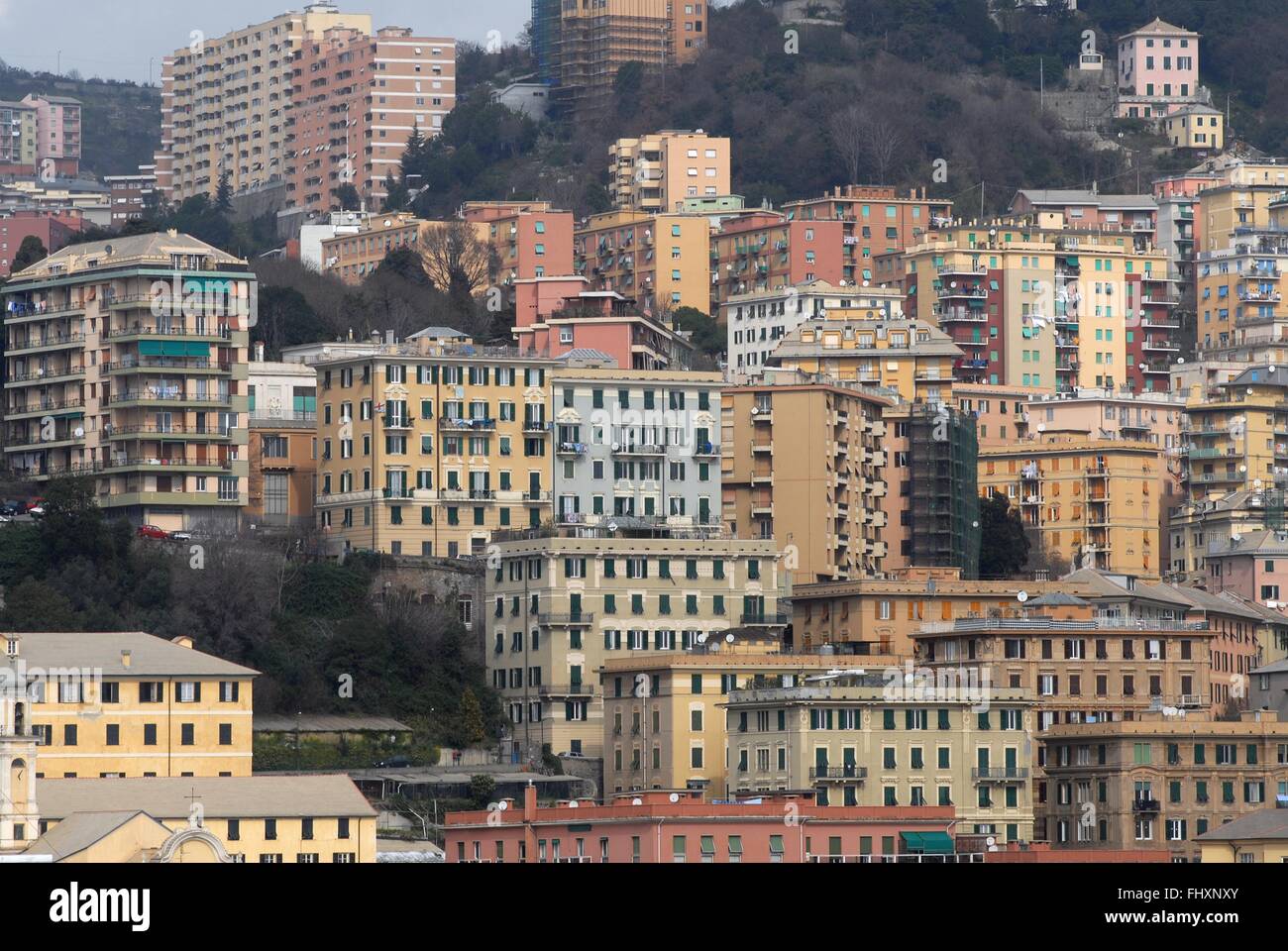 Italy, houses of Genoa town seen from the harbor Stock Photo - Alamy