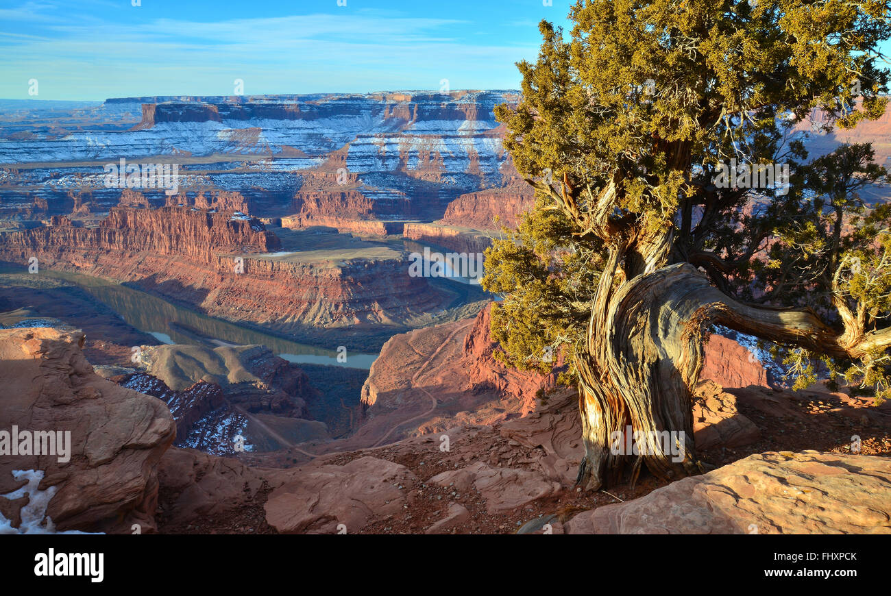 Views of Canyonlands National Park from Dead Horse Point State Park ...