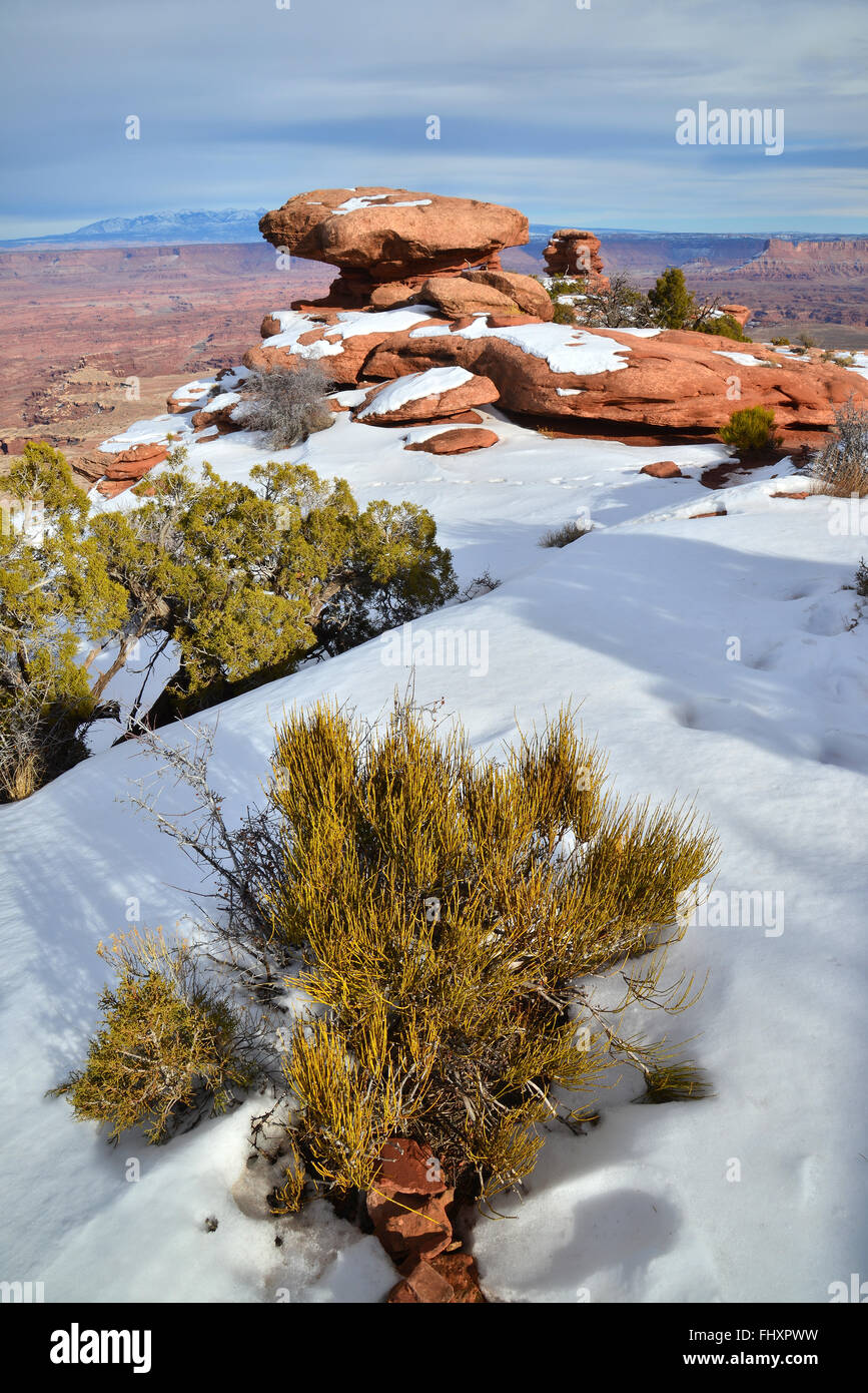 View along White Rim Overlook Trail in Island of the Sky District in ...