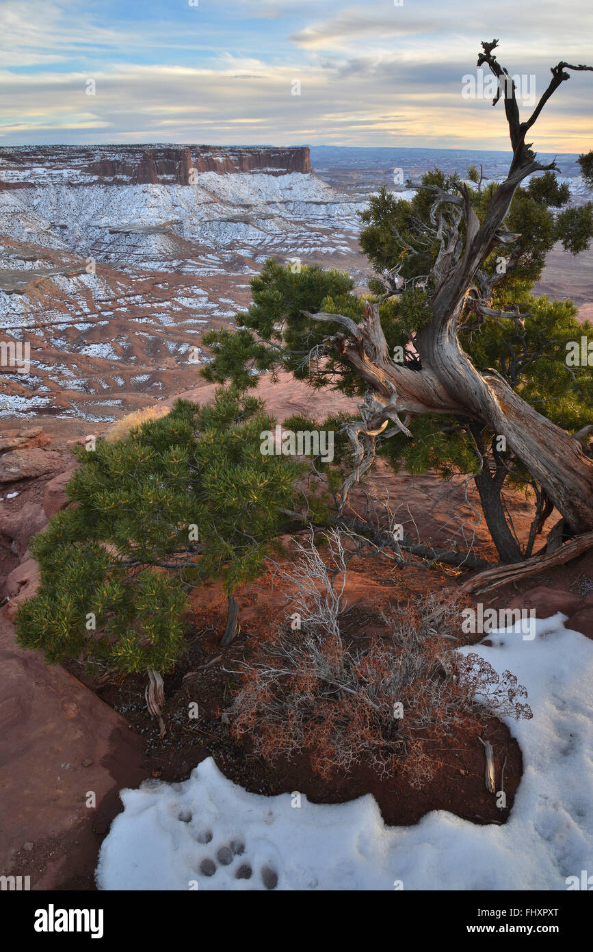 Green river utah hi-res stock photography and images - Alamy