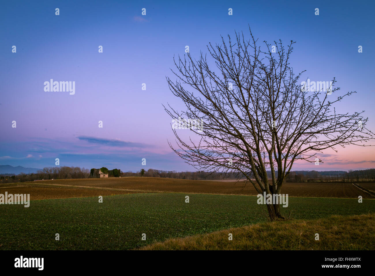 an abandoned and ruined farm in the fields of Italy Stock Photo - Alamy