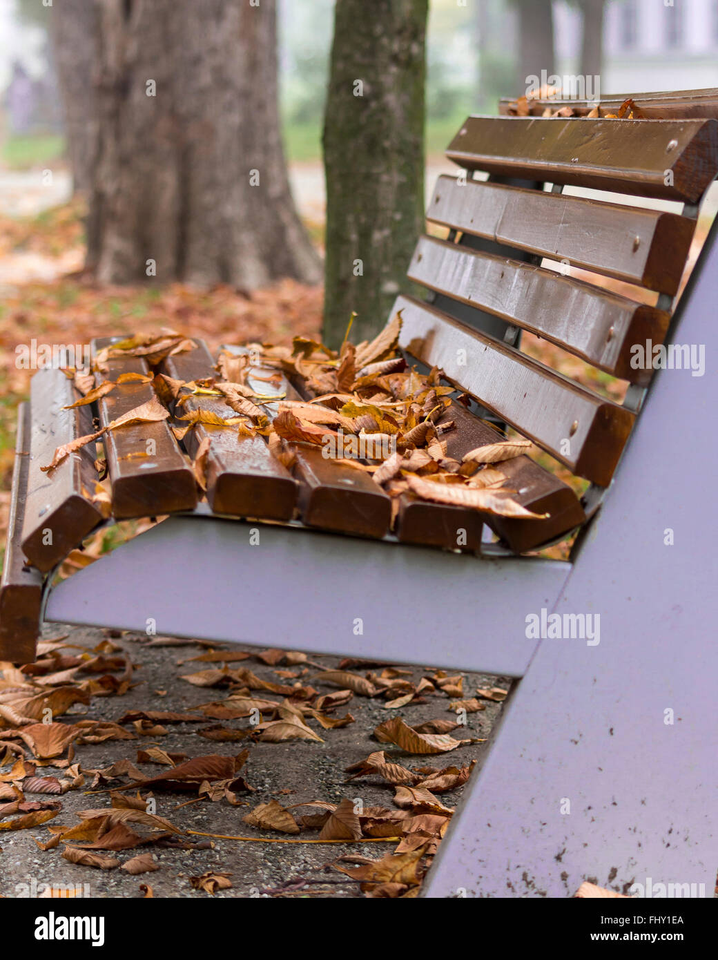Falling leaves on a bench in the park Stock Photo - Alamy