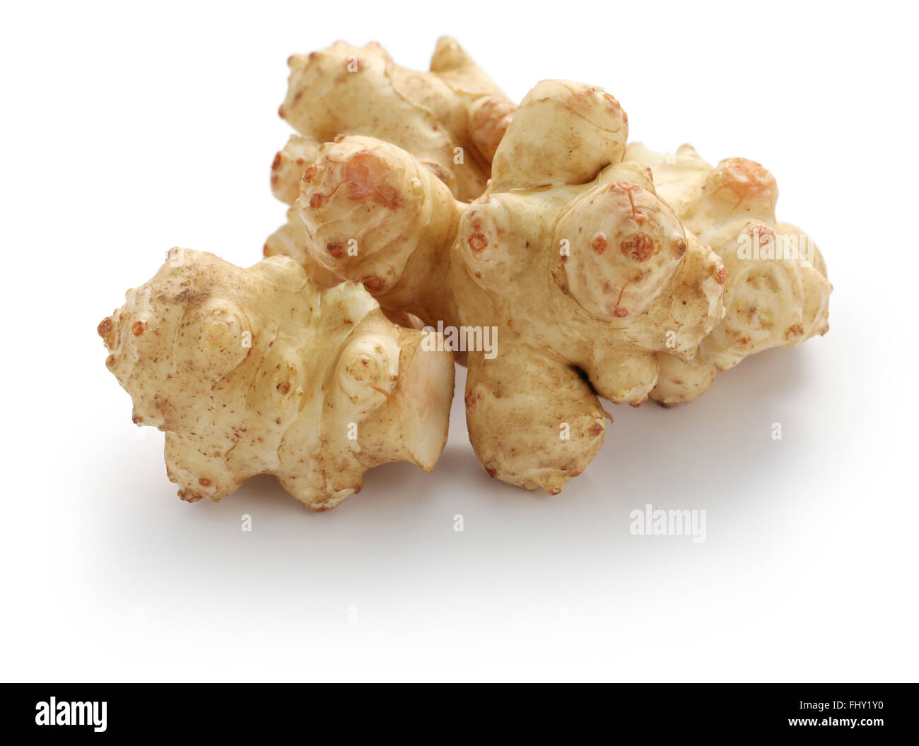 jerusalem artichoke,sunchoke,sunroot isolated on white background Stock ...