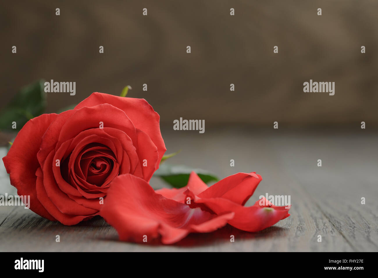 Rose wood shelf hi-res stock photography and images - Alamy