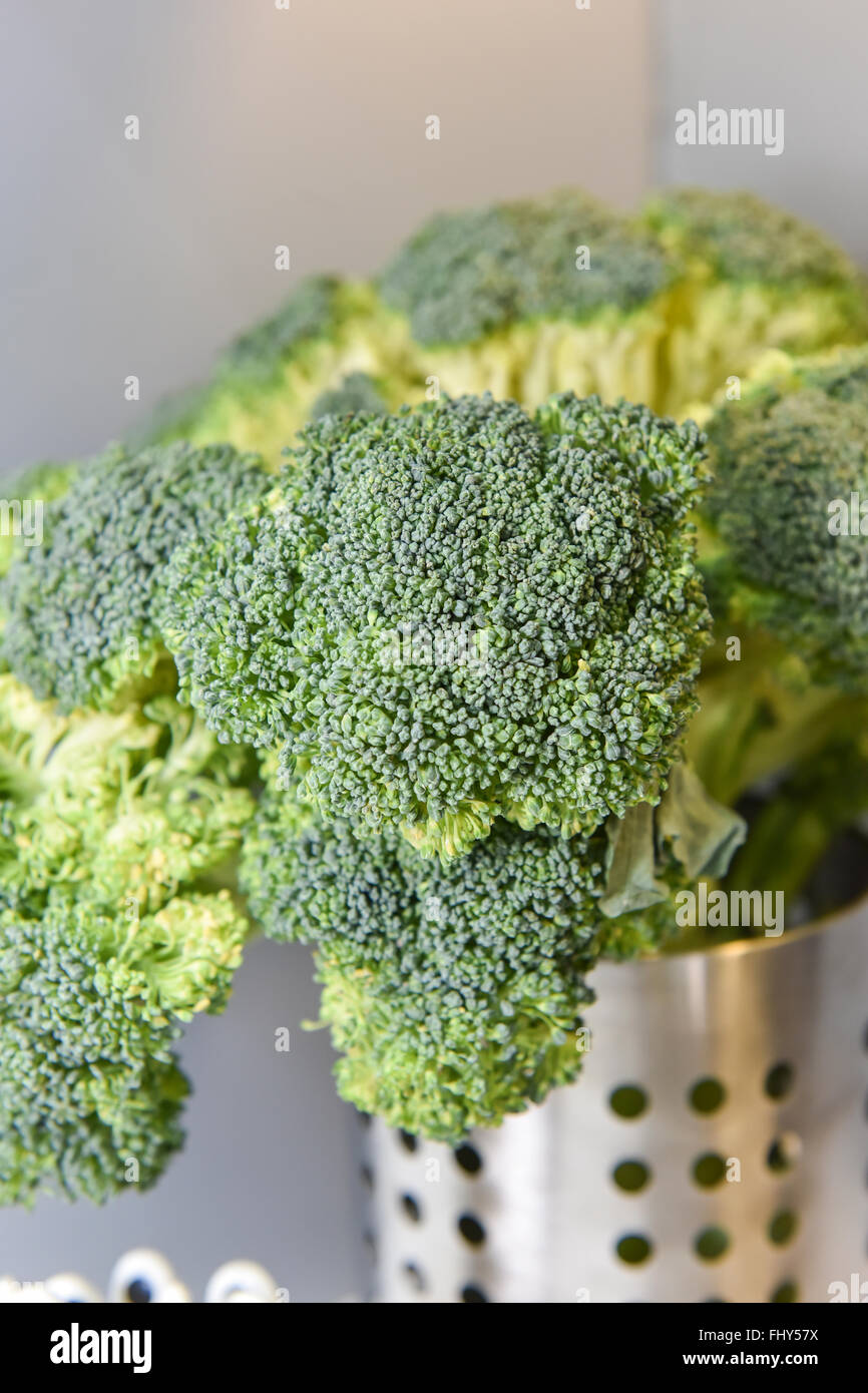 Large head of broccoli fresh vegetable in bowl on kitchen counter top ...