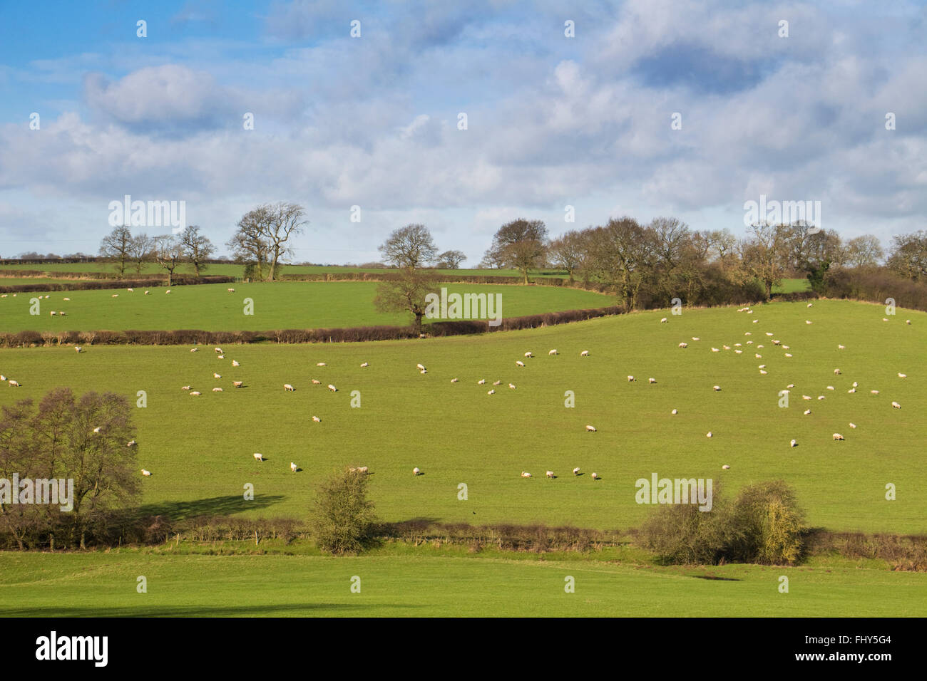 Repton derbyshire hi-res stock photography and images - Alamy