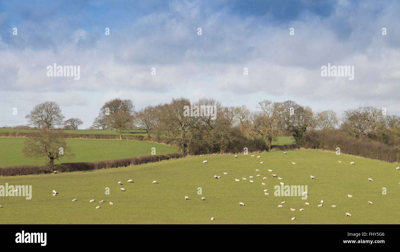 Repton derbyshire hi-res stock photography and images - Alamy